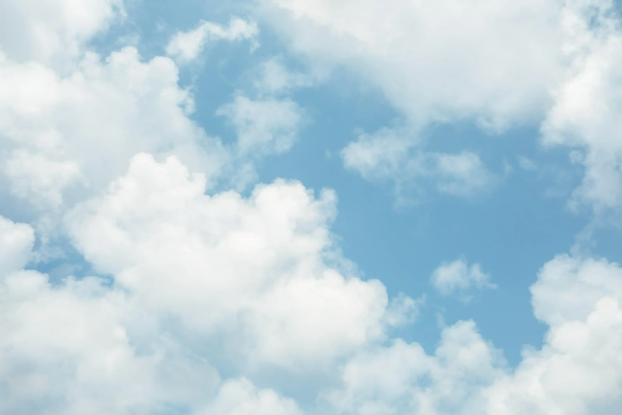 The Nuevo Group | Cielo - The Nuevo Group